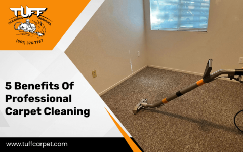 5 Benefits Of Professional Carpet Cleaning | Tuff Carpet Cleaning